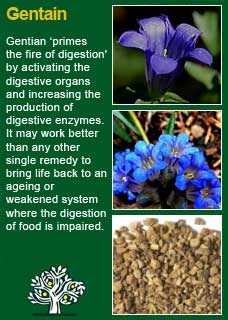 Richard Whelan ~ Medical Herbalist